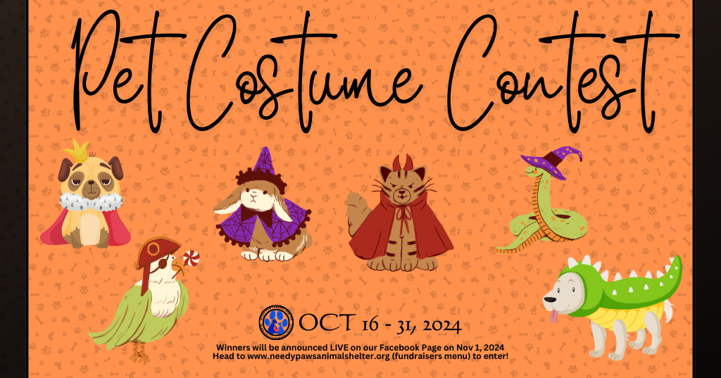 Arkansas River Valley Halloween 2024 Pet Photo Contest - 360 Photo Contest