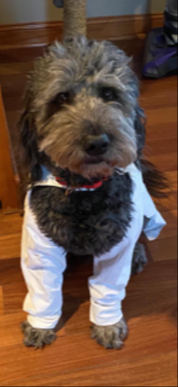 No Animal Left Behind Annual Photo Contest Fundraiser - 360 Photo Contest